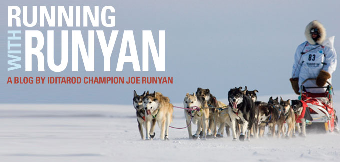 A Tribute to lead dog Nugget—an Iditarod Legend – Iditarod