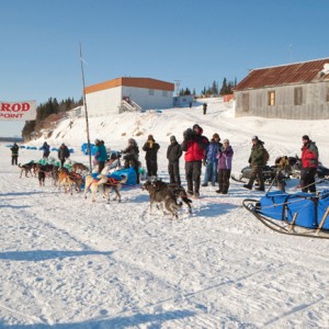 Museum: Trail – Iditarod