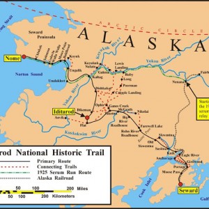 Museum: Trail – Iditarod