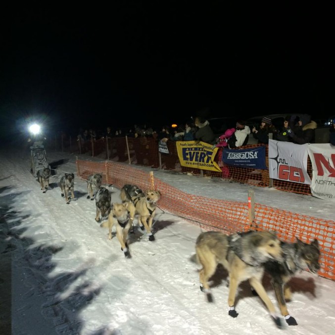 Kusko 300 Champion – Pete Kaiser – Iditarod