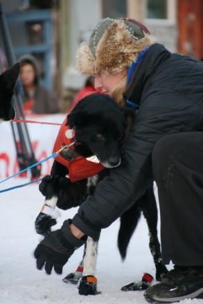 Iditarod BINGO – Iditarod