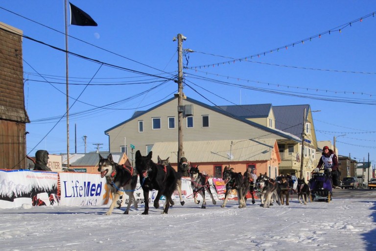 Eye on the Trail: Stokey and Cooke in Nome – Iditarod
