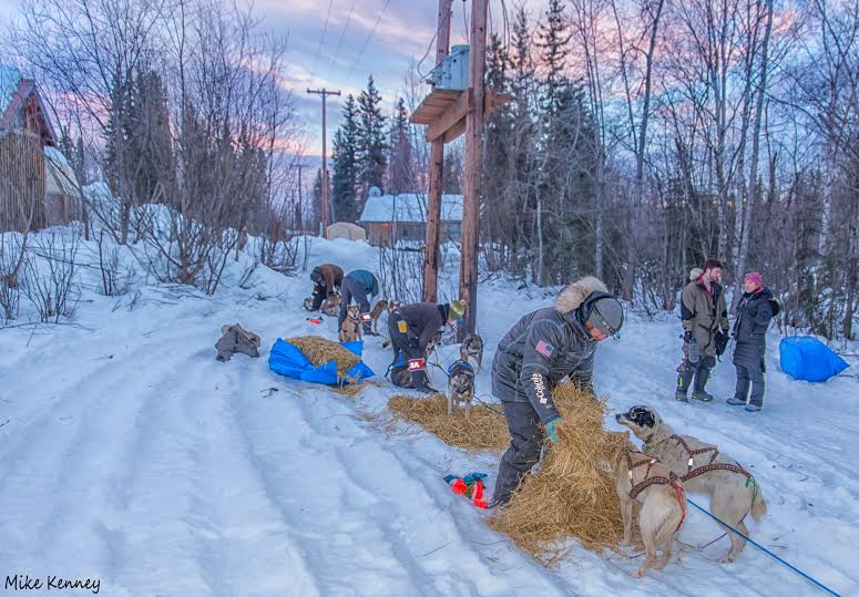 What Happens at Checkpoints? – Iditarod