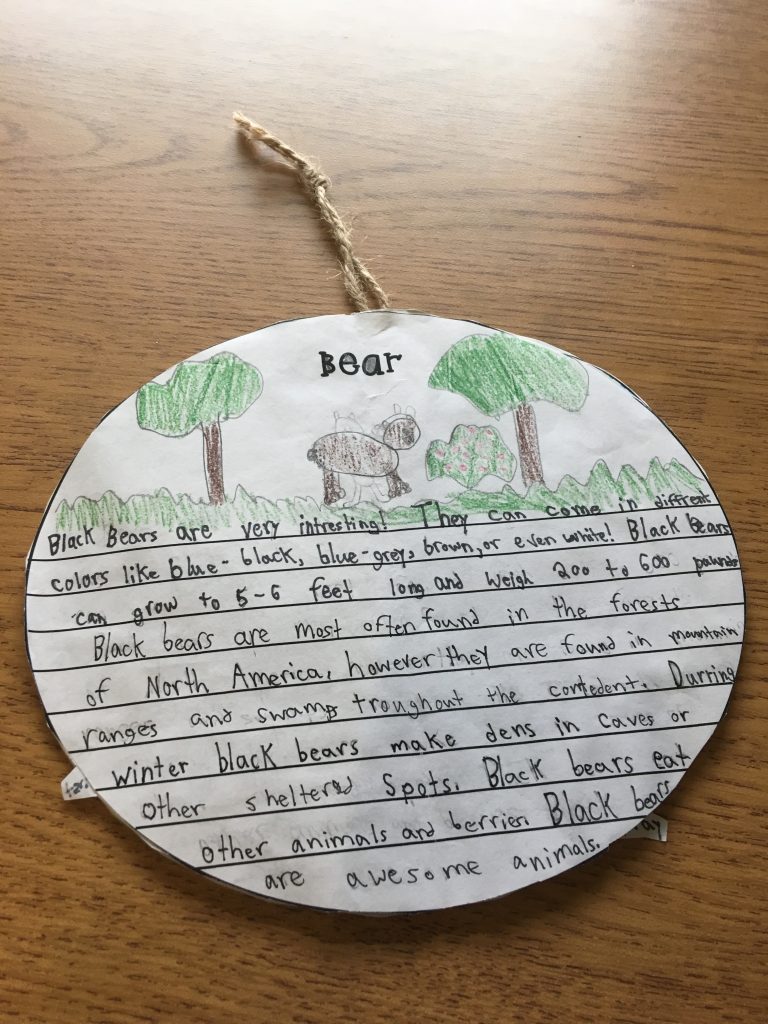 An Animal Encounter – Iditarod