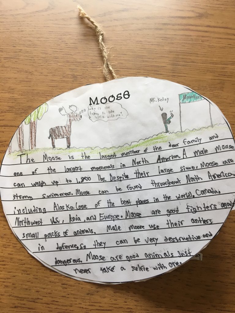 An Animal Encounter – Iditarod