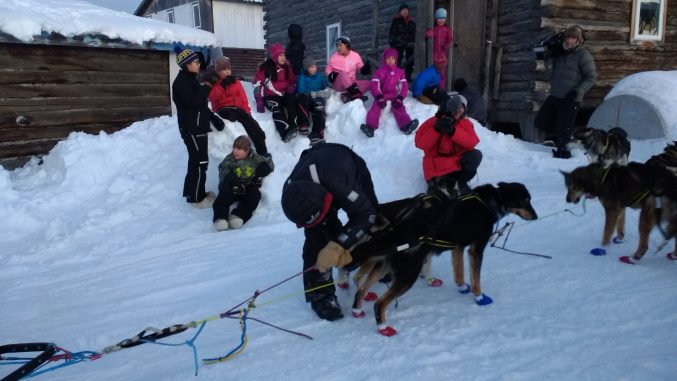 march 11 8:25pm Kaltag Mitch Seavey Defends Lead into Kaltag – Iditarod