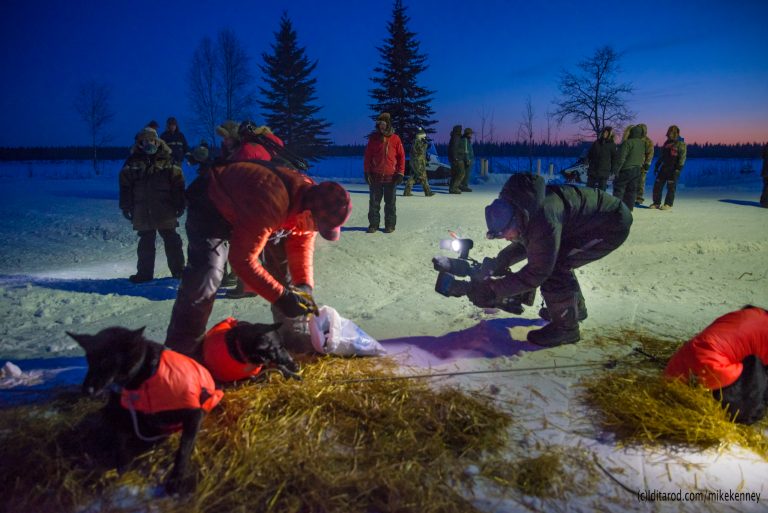 Martin Buser Inducted into the into the Knik Museum Musher Hall of Fame ...