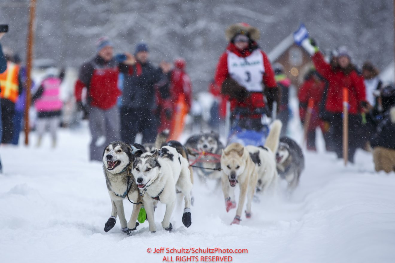 Junior Iditarod – Iditarod