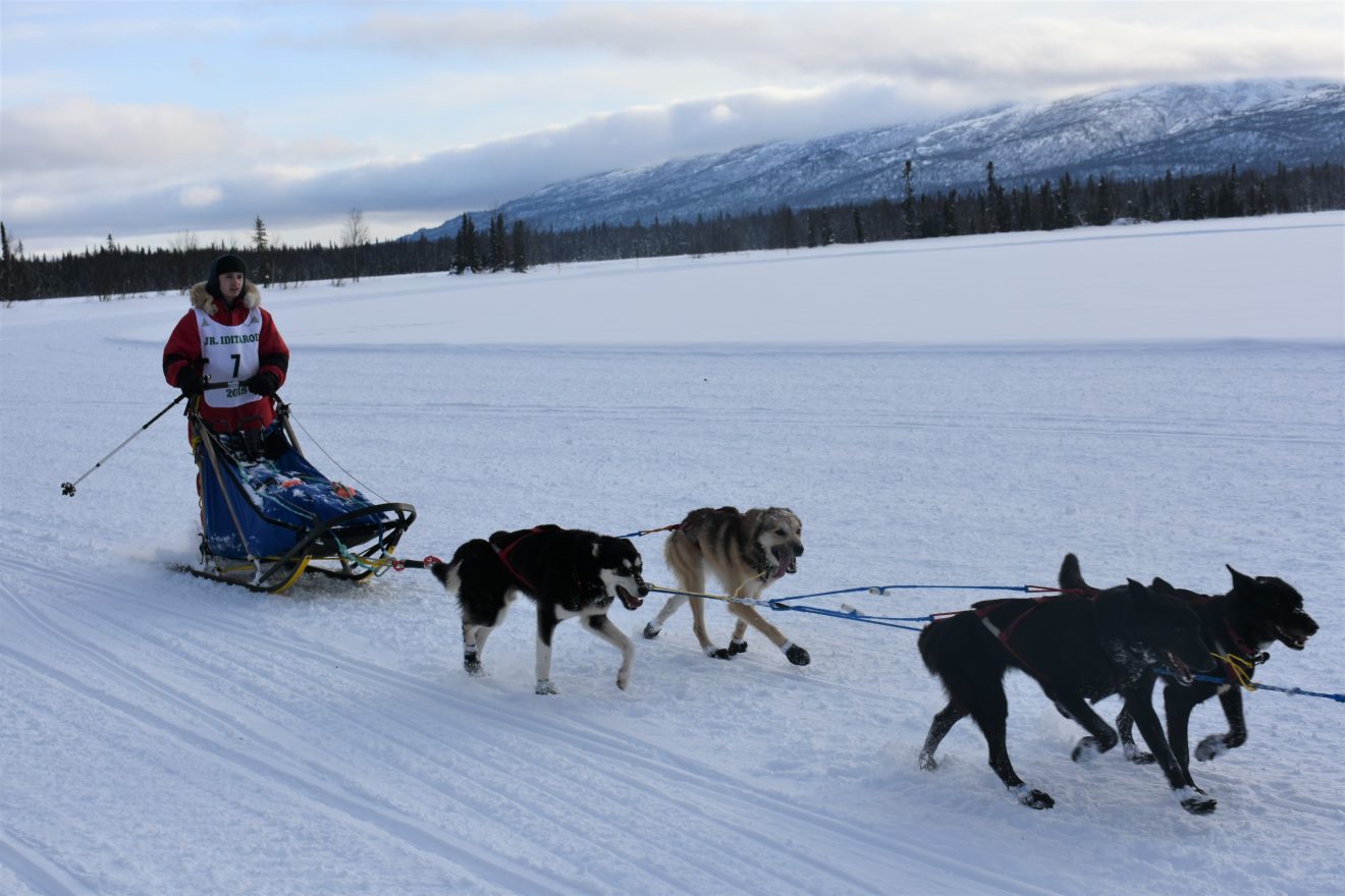 Junior Iditarod – Iditarod