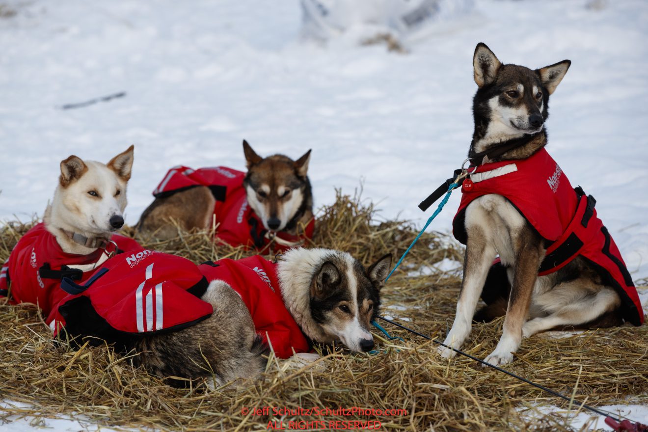 Veterinary Center – Iditarod