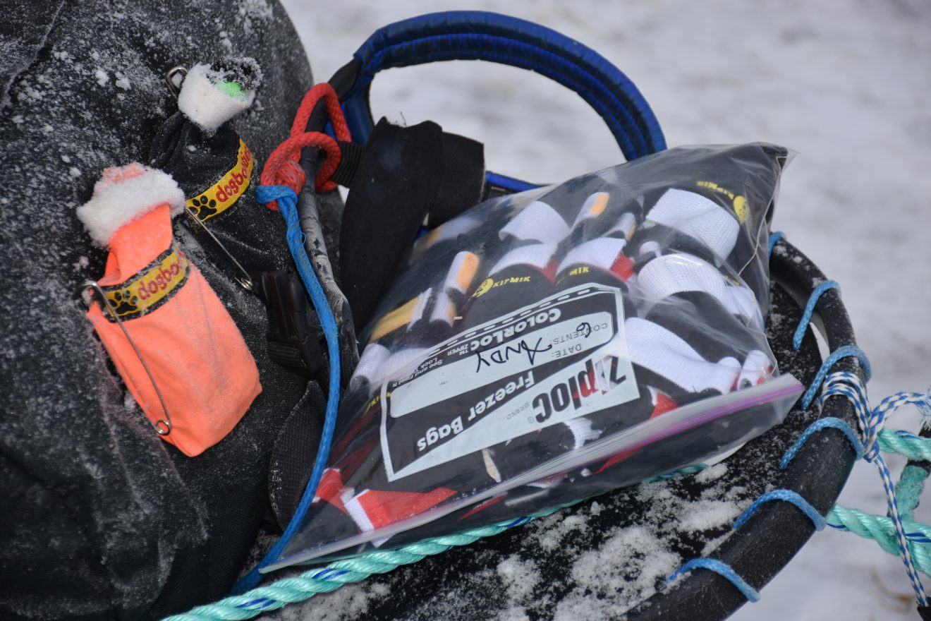 Booties On! – Iditarod