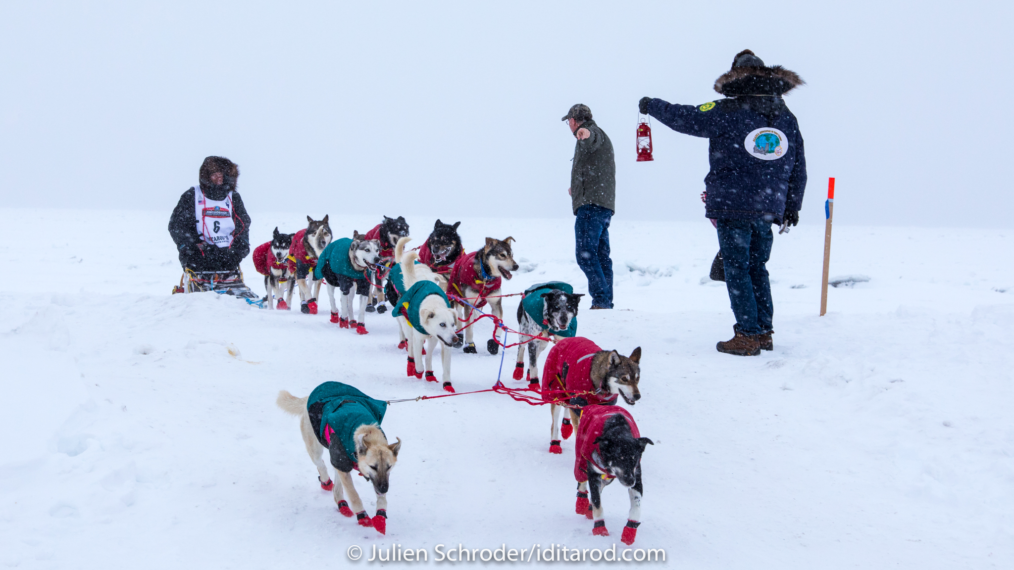 Red Lantern and the Widows Lamp – Iditarod