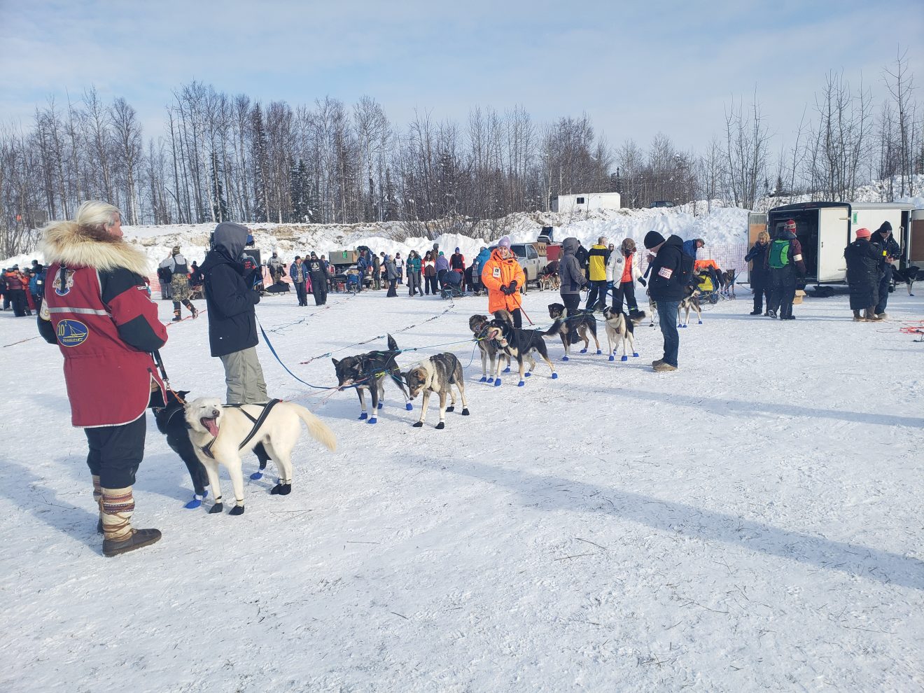 Musher Rivalery – Iditarod