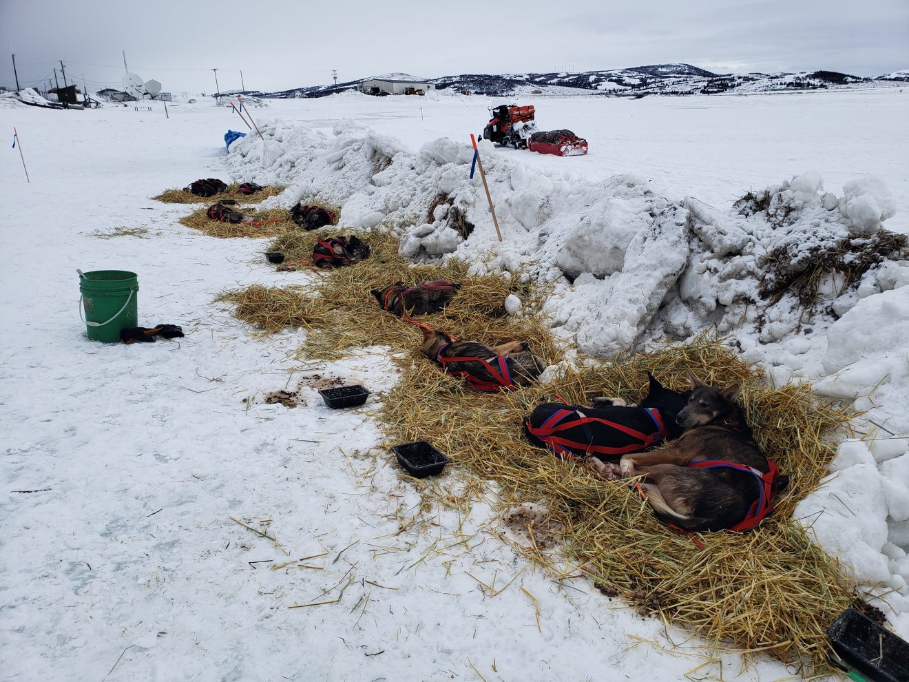 Nicolas Petit out of Unalakleet at 14.48 – Iditarod