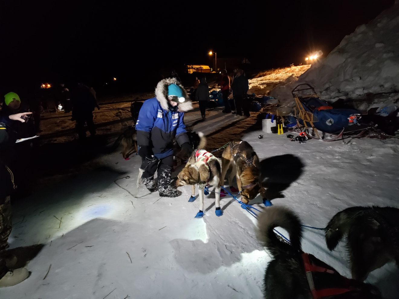 Top 10 in Unalakleet, Paige Drobny and Travis Beals – Iditarod