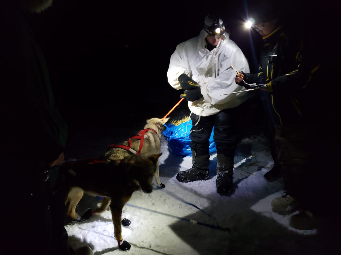 Top 10 in Unalakleet, Paige Drobny and Travis Beals – Iditarod