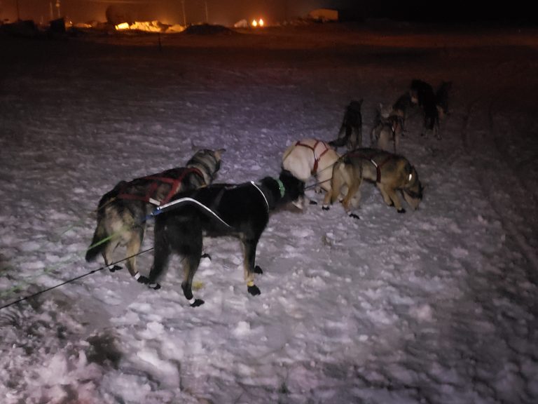 Morning update from Unk and shakeup in lead – Iditarod