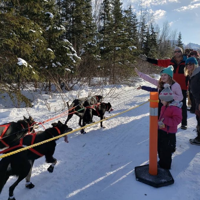 Iditarod Stories: The Typical Race Fan – Iditarod