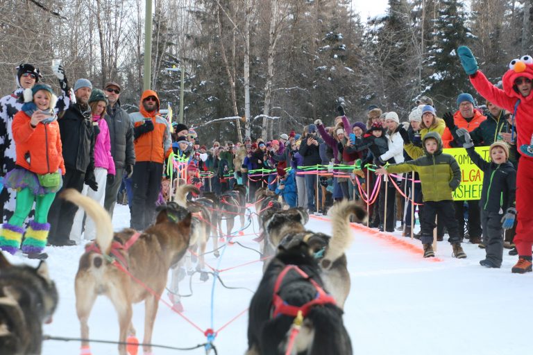 Reliving the Ceremonial Start as an IditaRider – Iditarod