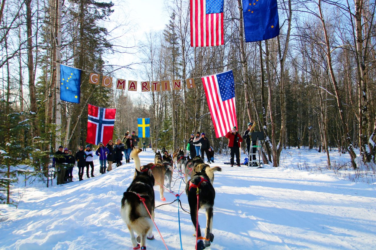 A View From Behind – Iditarod