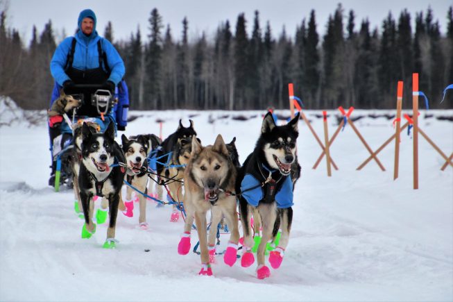 Booties Galore – Iditarod