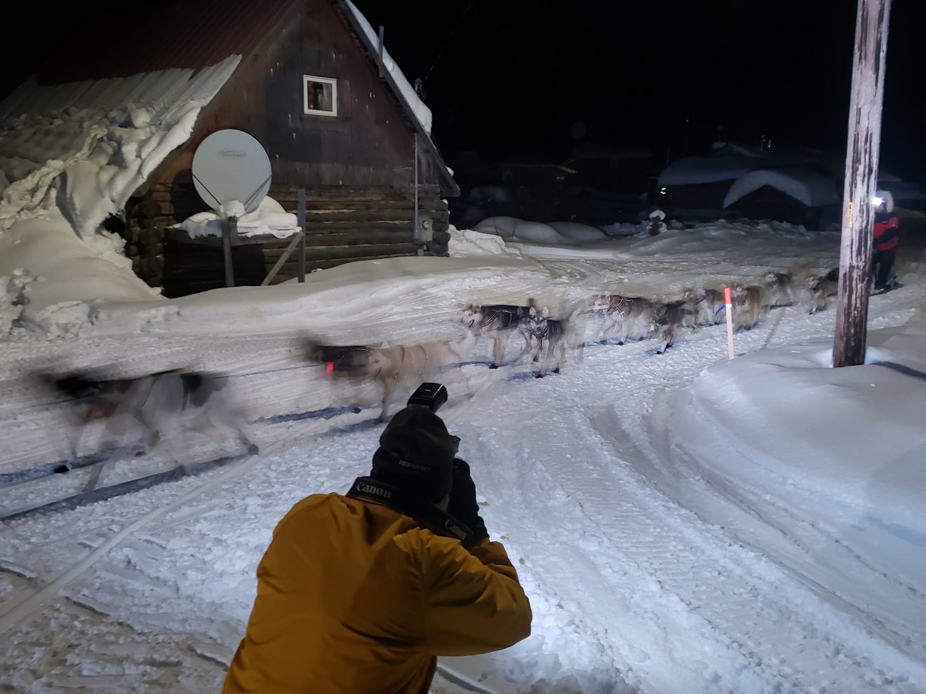 Kaltag evening action – Iditarod
