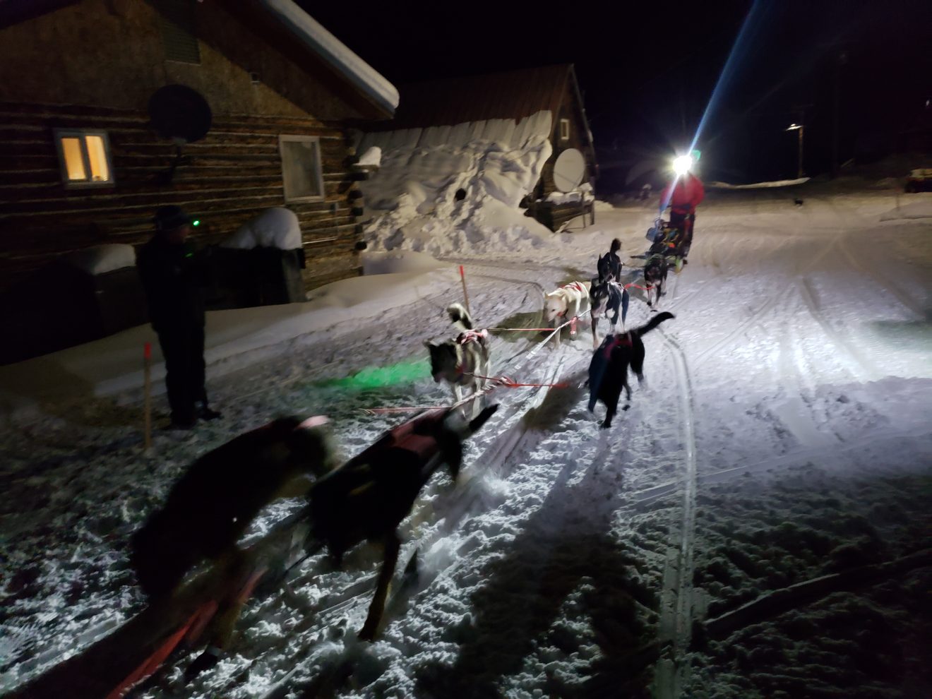 Kaltag evening action – Iditarod