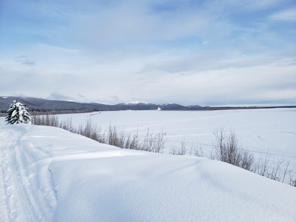Update from Kaltag – Iditarod