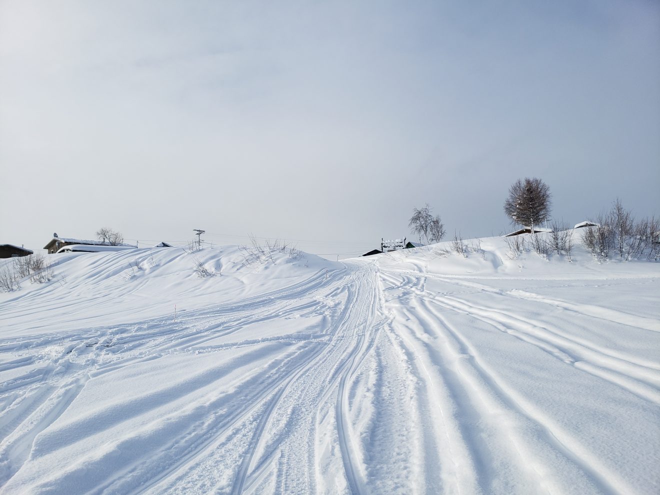 Update from Kaltag – Iditarod