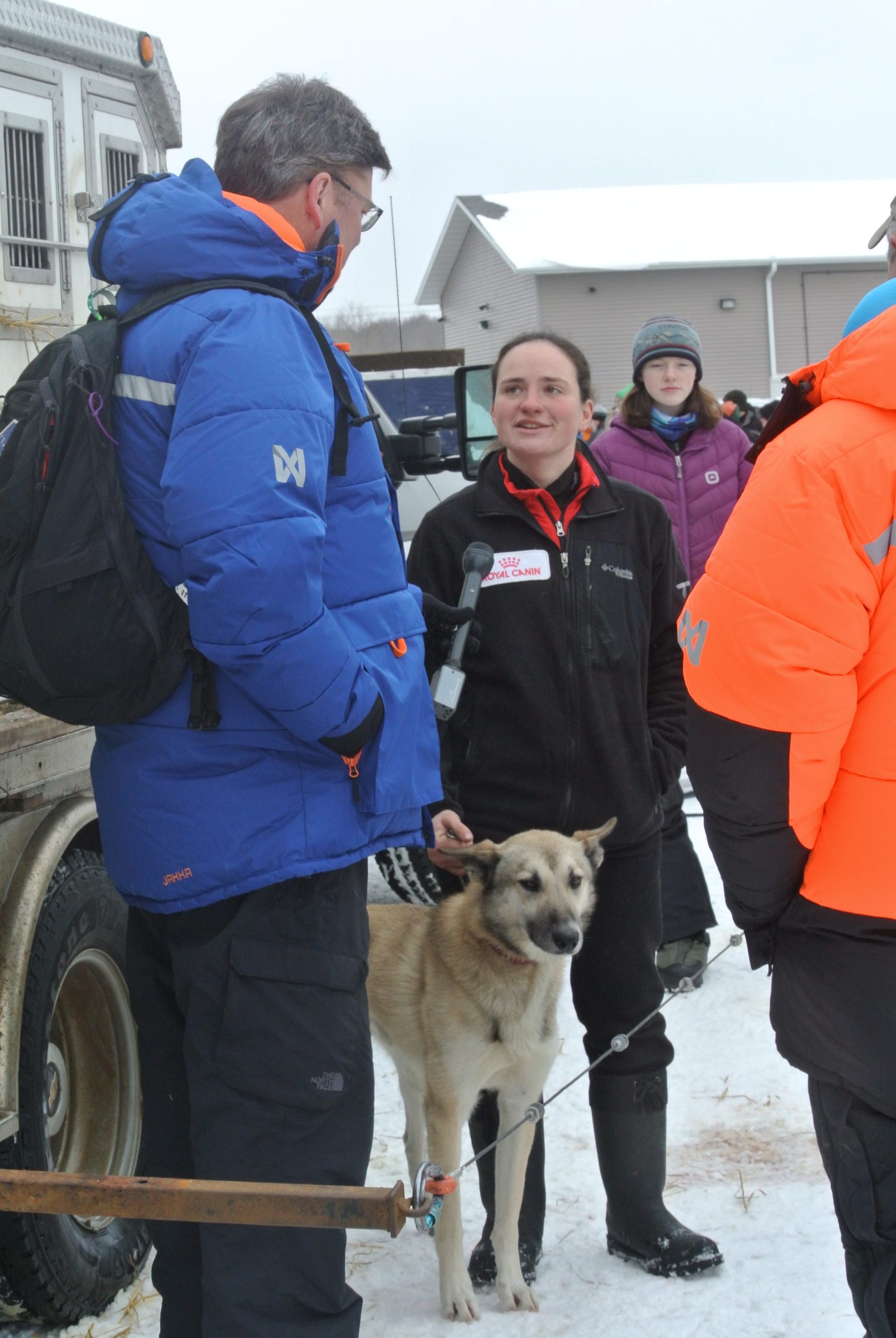 Paws on the Trail in Minnesota – Iditarod