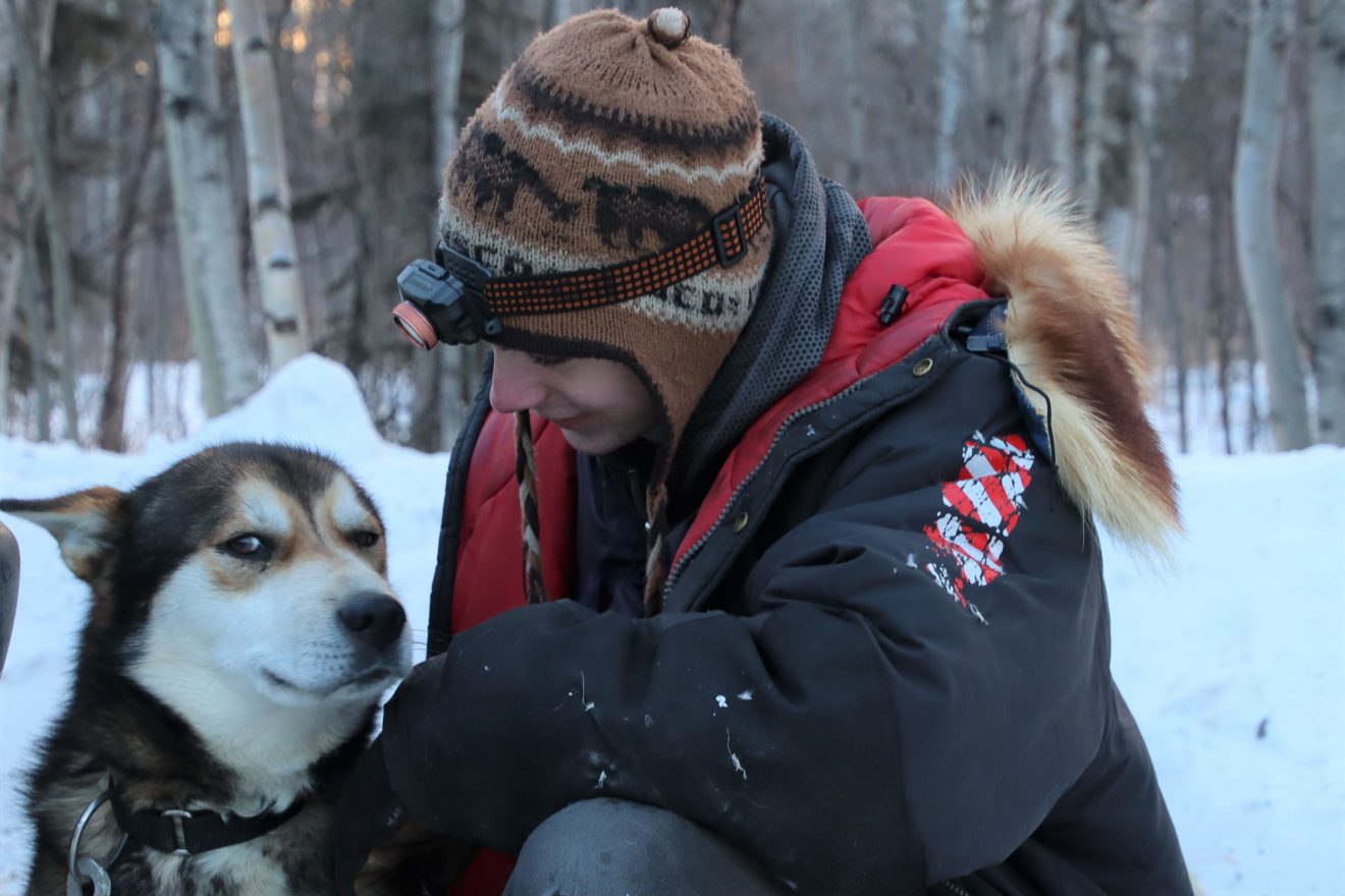 Junior Vet Checks – Iditarod