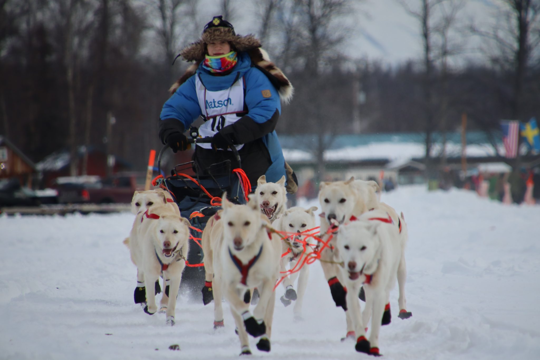 Let the Race begin- Jr Iditarod – Iditarod