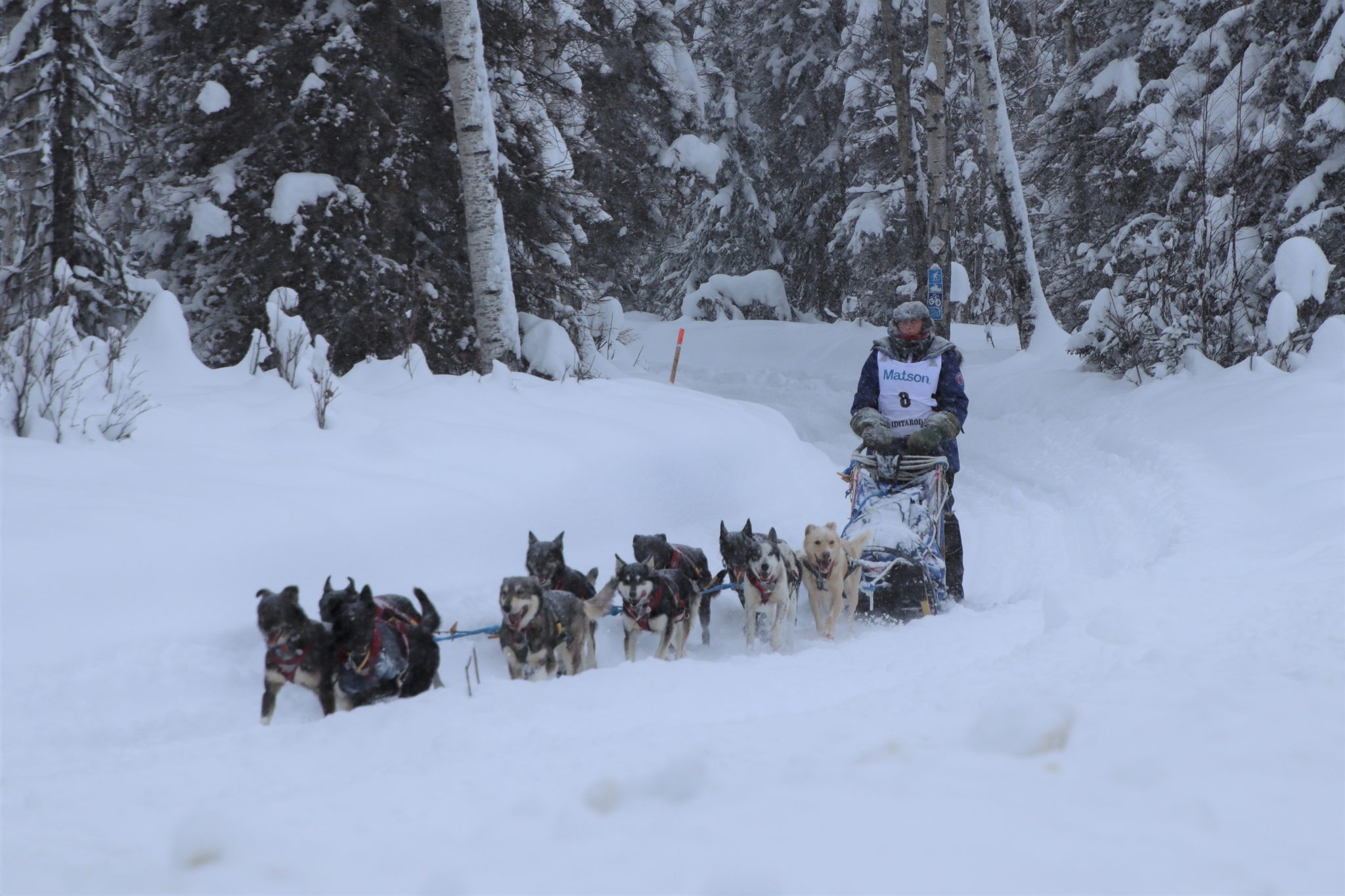2020 Junior Iditarod Concludes – Iditarod