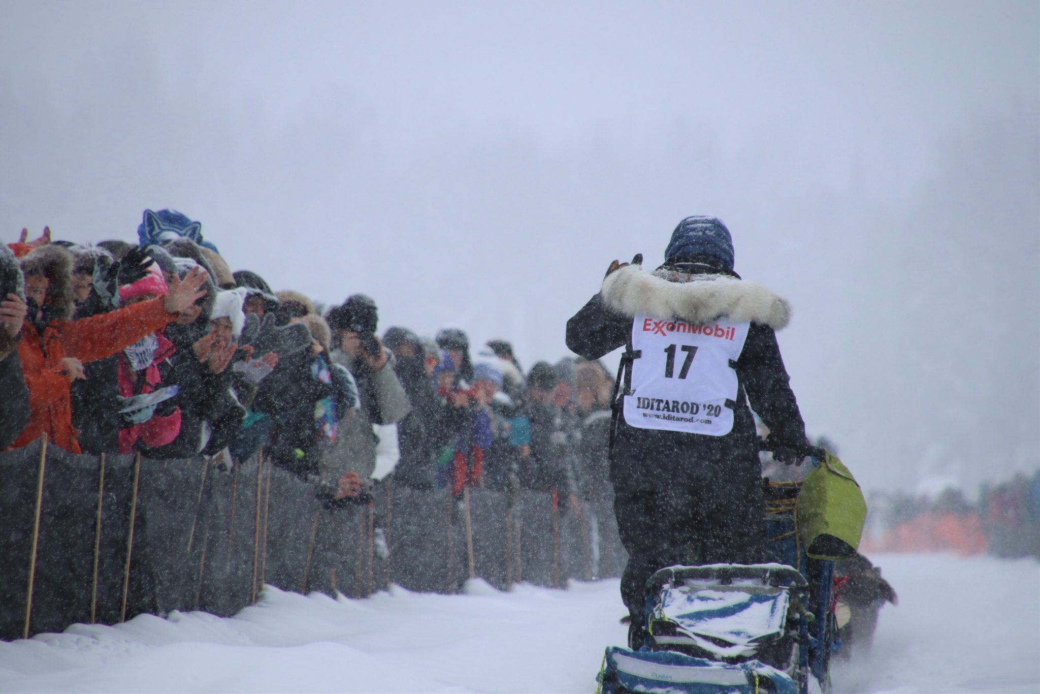 And They’re Off…. – Iditarod