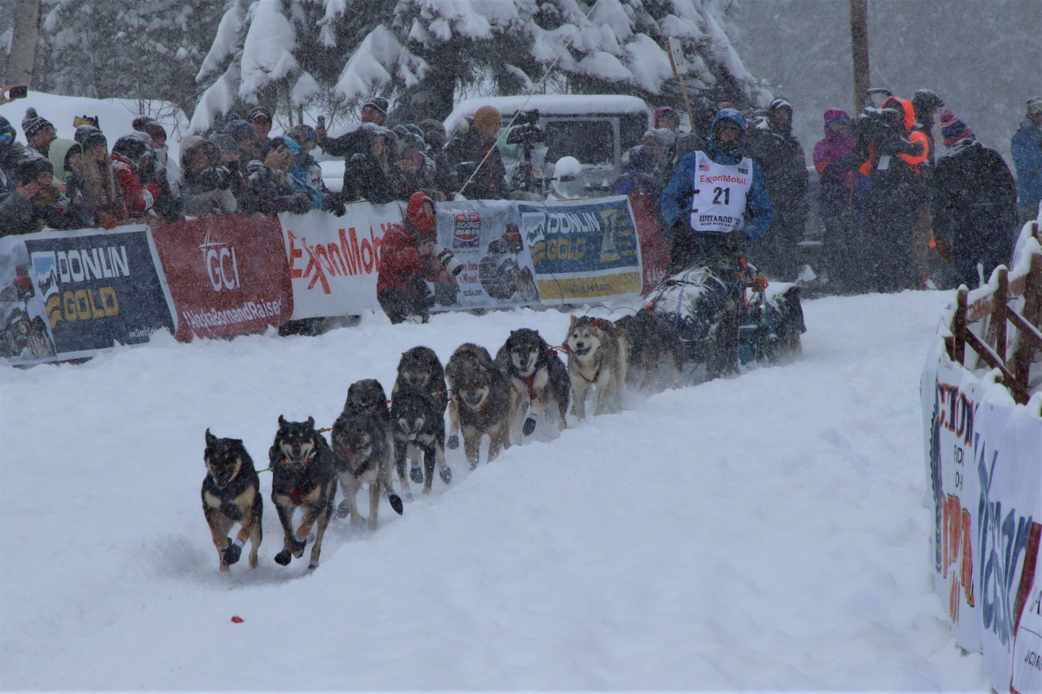 Nicolas Petit scratches between Elim and White Mountain checkpoints – Iditarod