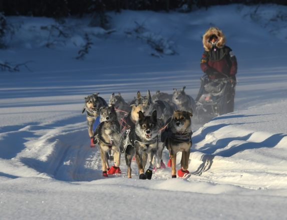 About Us – Iditarod