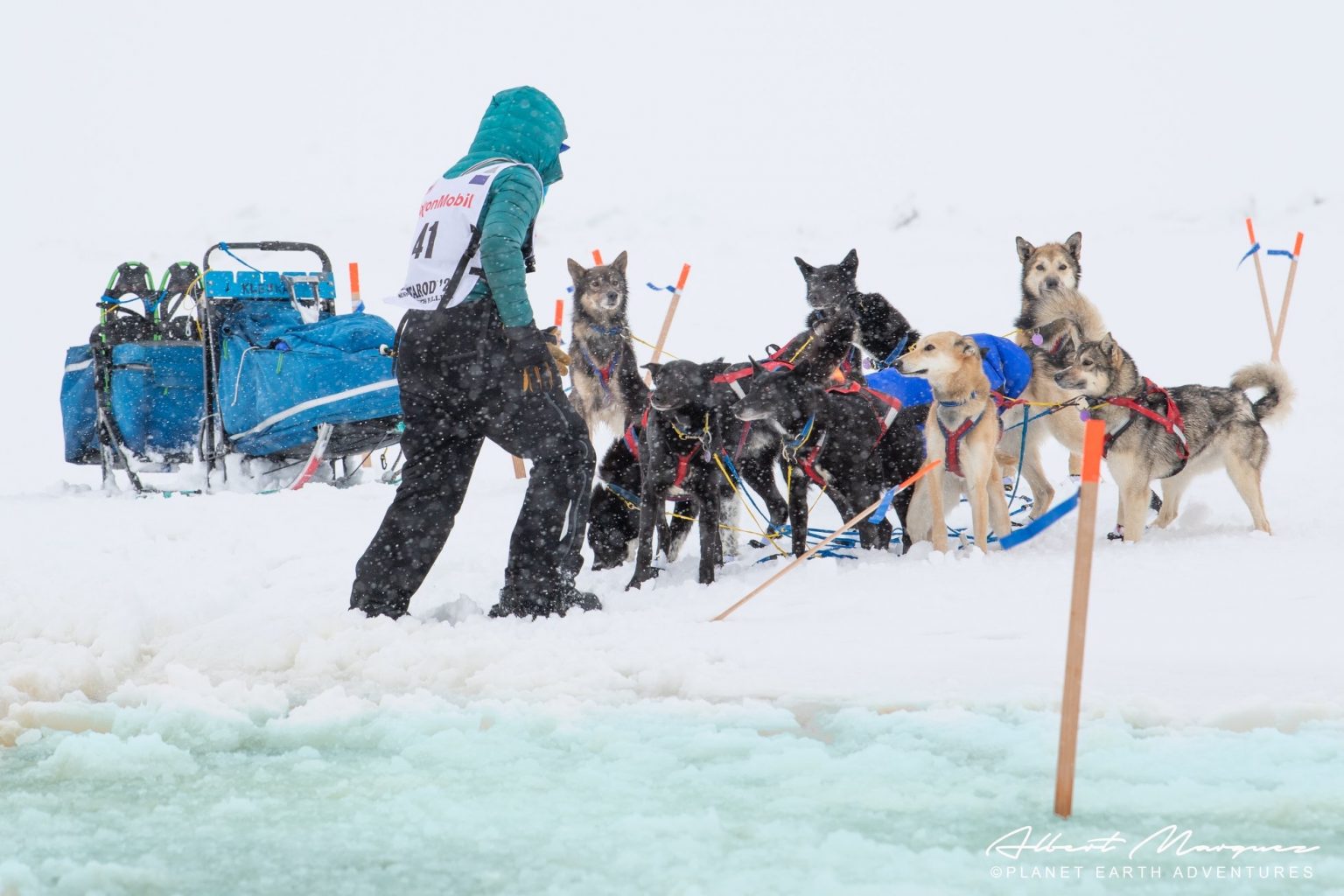 Overflow – Iditarod