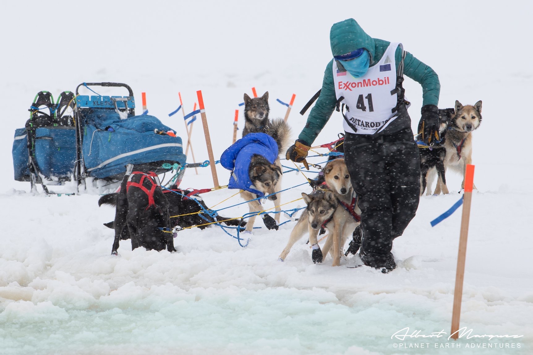 Overflow – Iditarod