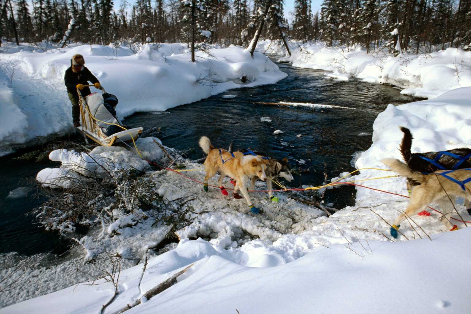 Legendary Iditarod Musher, Emmitt Peters, passes at his home in Ruby ...