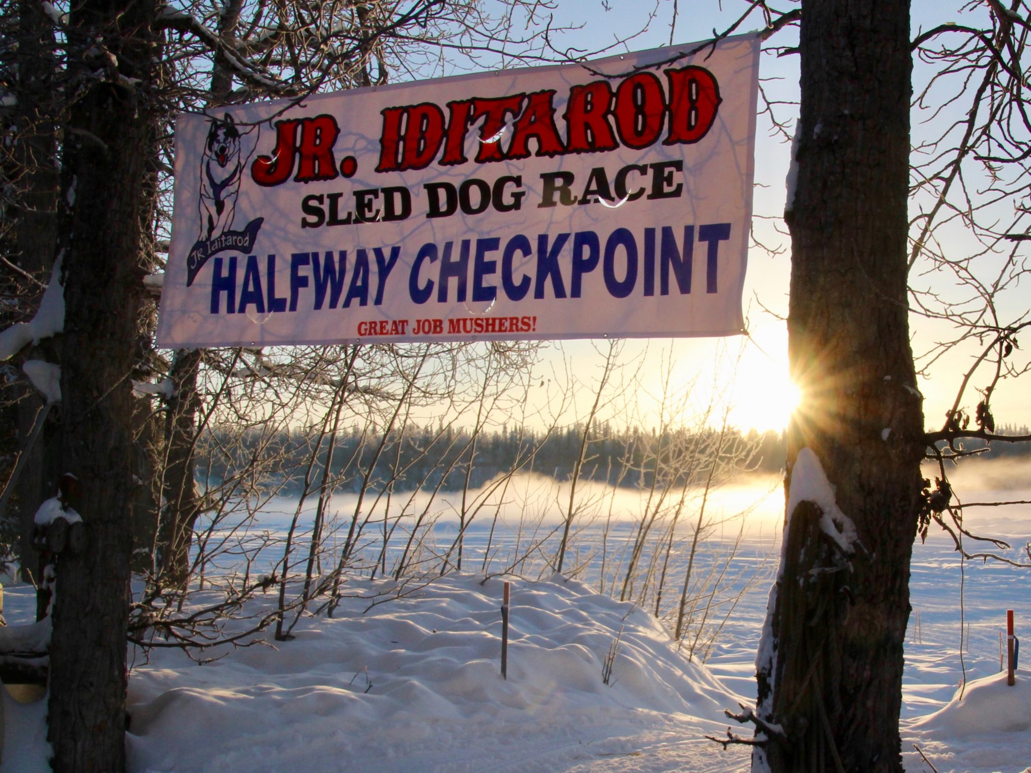 Eye on the Jr: Mid-race Update – Iditarod