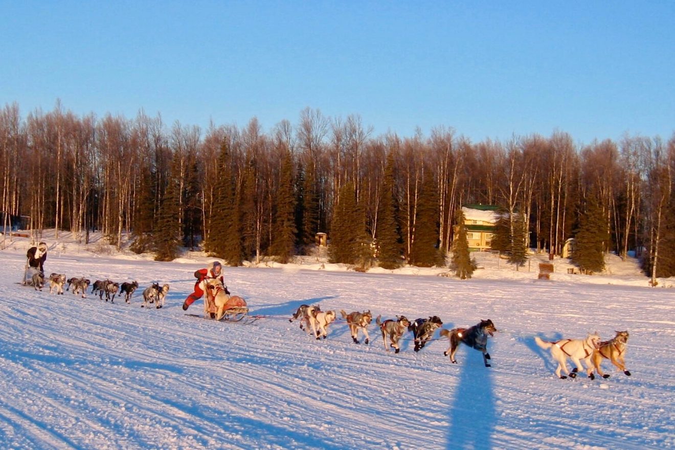 Eye On The Jr History Of The Jr Iditarod Iditarod