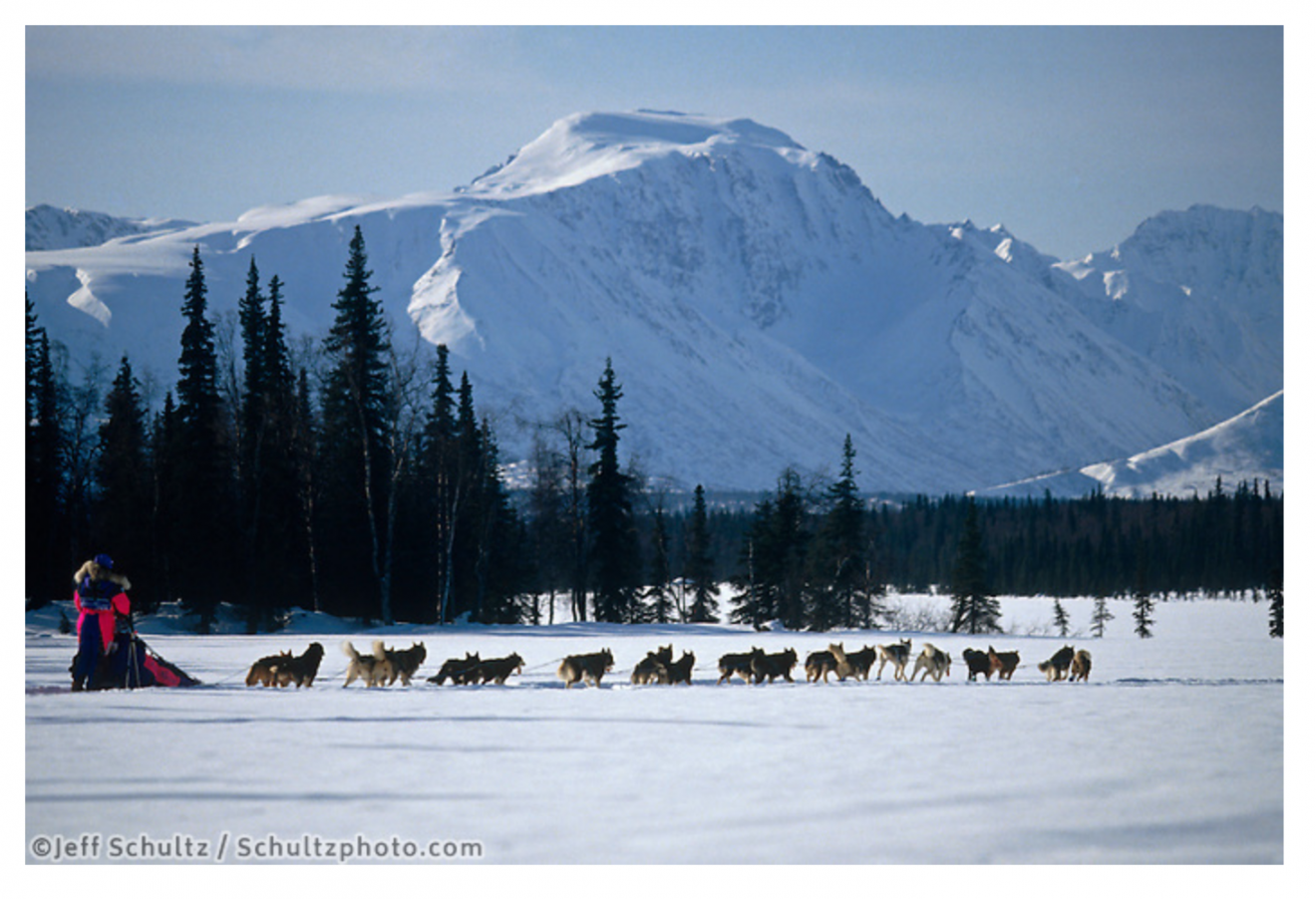 Moments with Mushers: How the Race Has Changed – Iditarod