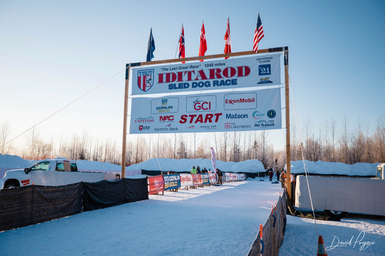 PAWS ARE ON THE TRAIL! – Iditarod