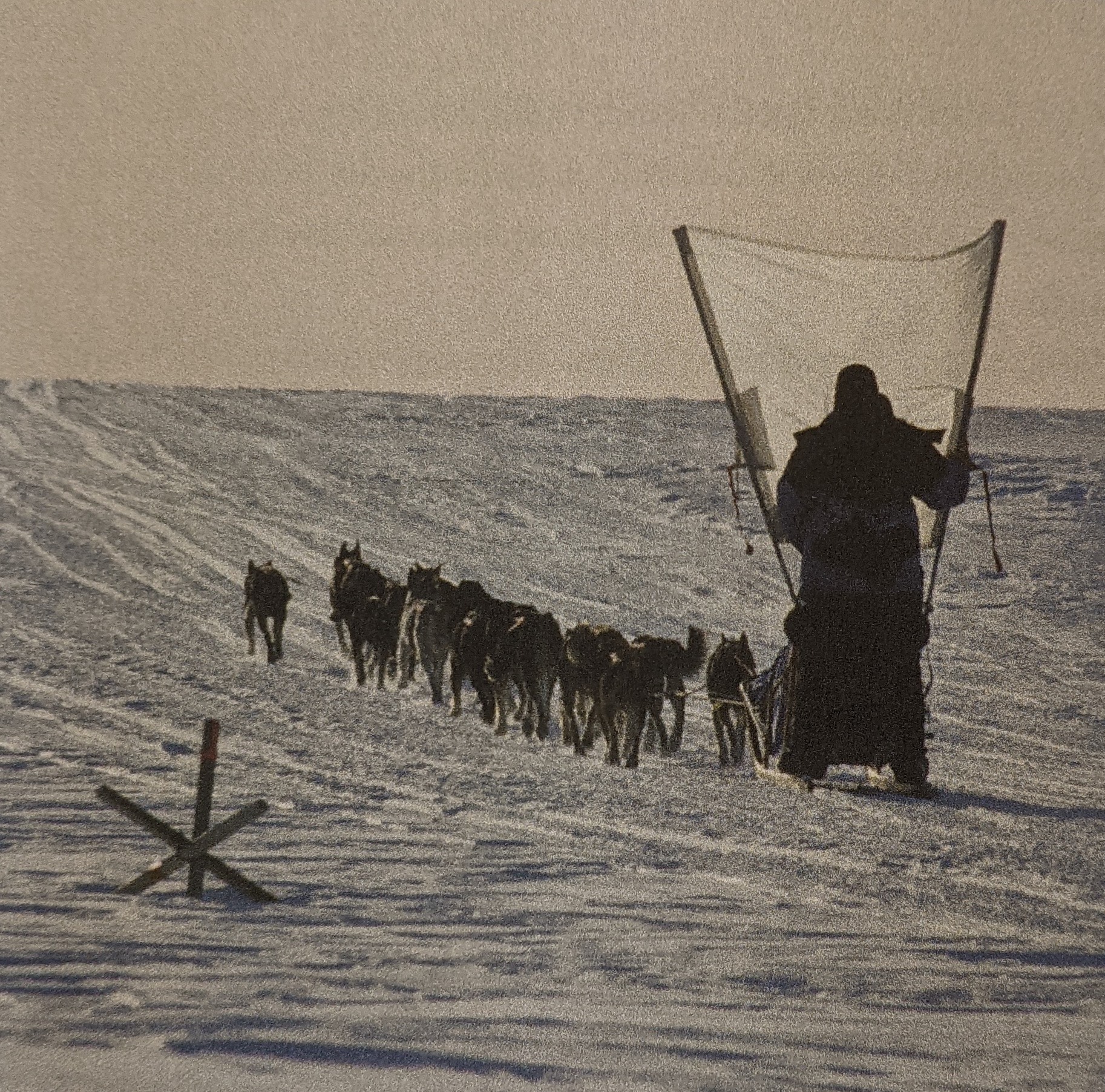 Moments with Mushers: How the Race Has Changed – Iditarod