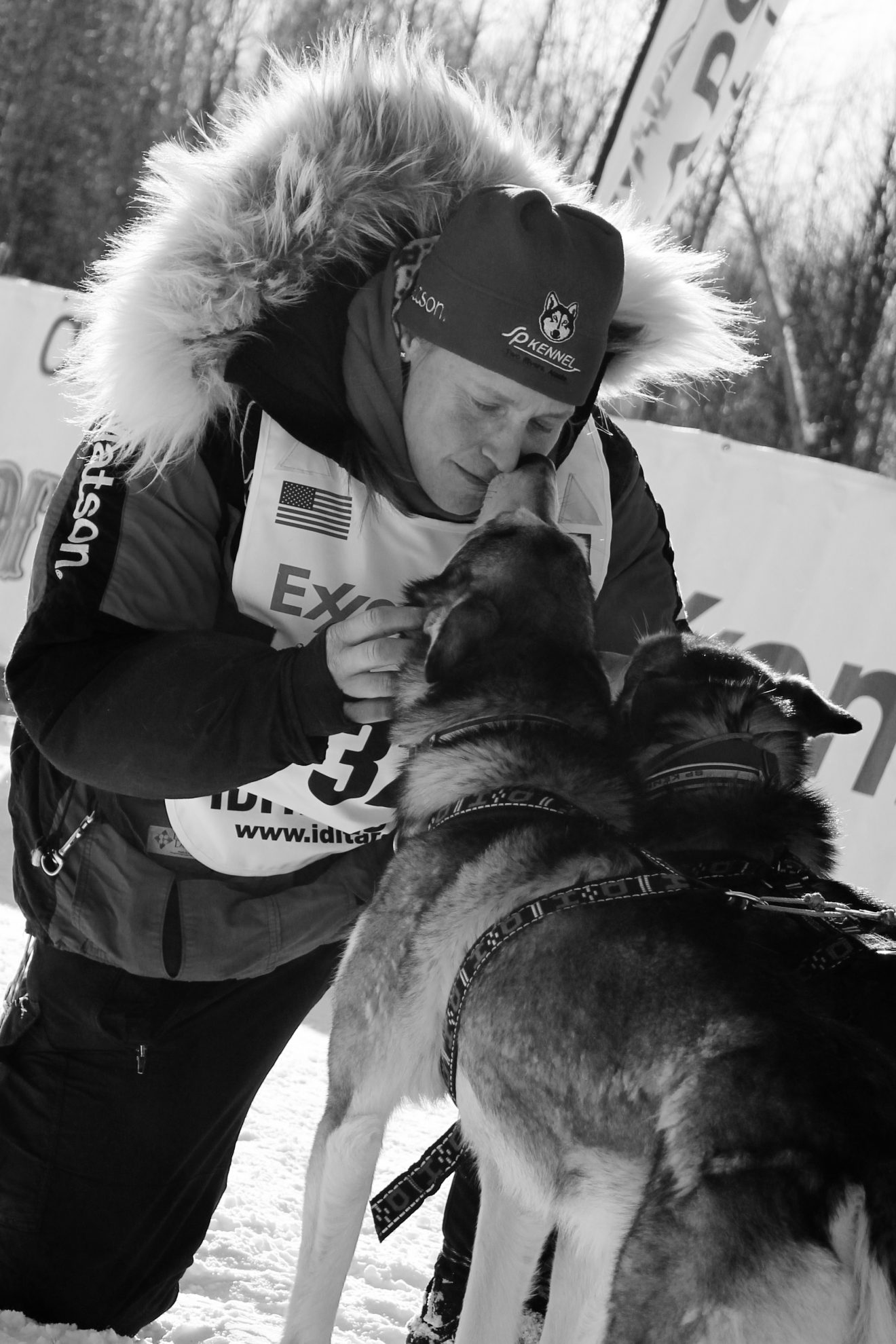 Veteran Iditarod musher Aliy Zirkle scratches from Iditarod 49 – Iditarod