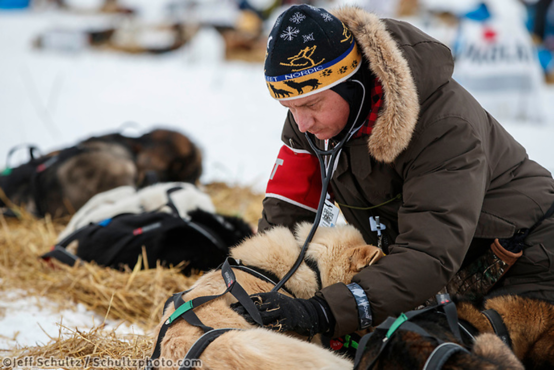 Moments with Mushers: What’s Important for People to Know… – Iditarod
