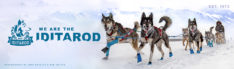 Iditarod