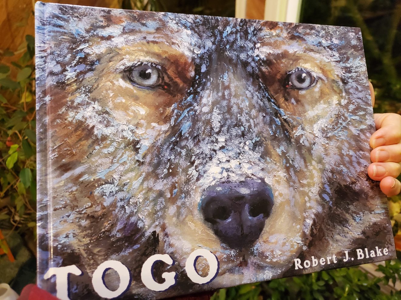 Classroom Connections: Togo vs. Balto Opinion Writing – Iditarod