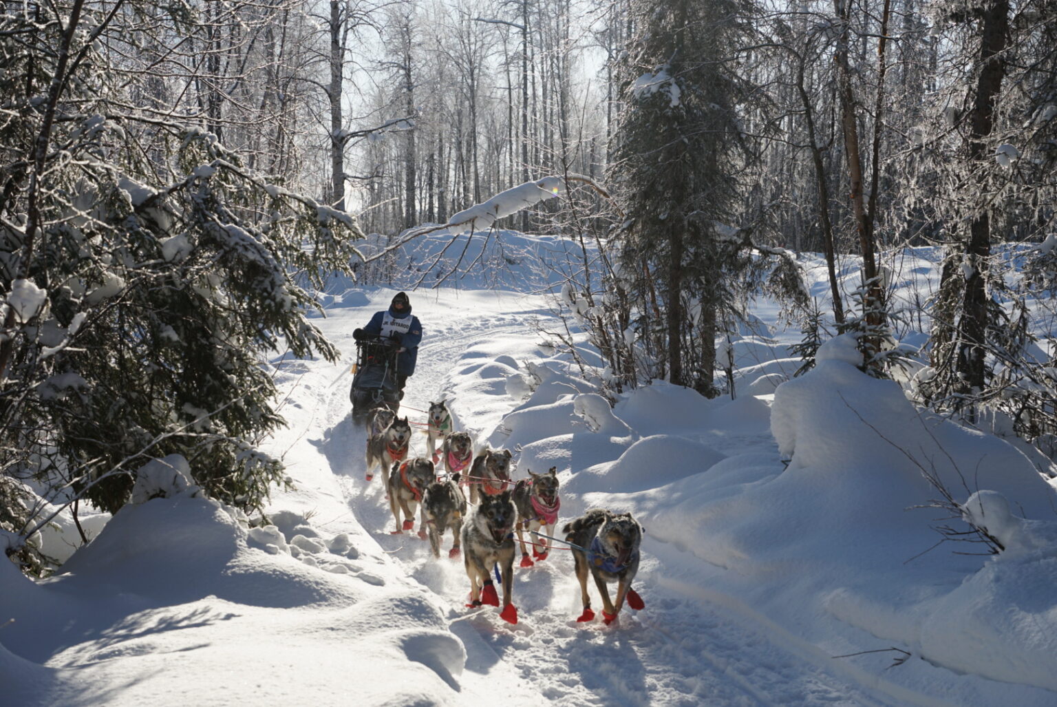 Read Me A Story – Iditarod