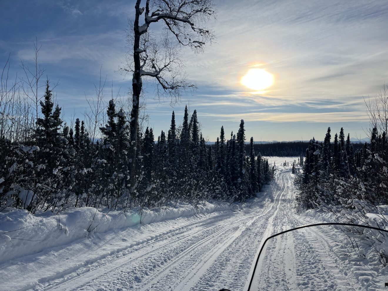 Read Me A Story – Iditarod